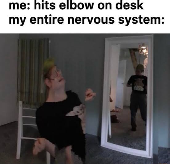 Me: hits elbow on desk my entire nervous system: - iFunny