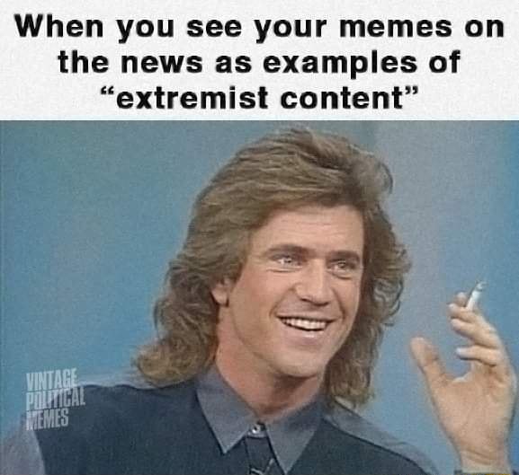 When you see your memes on the news as examples of "extremist content ...