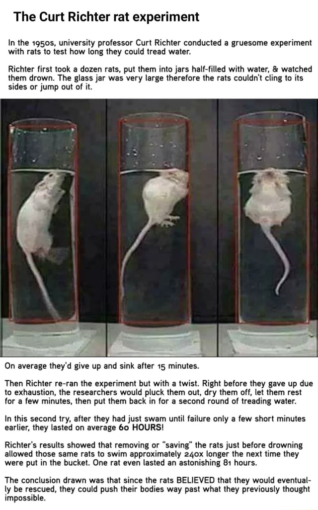 The Curt Richter rat experiment In the 1950s, university professor Curt ...
