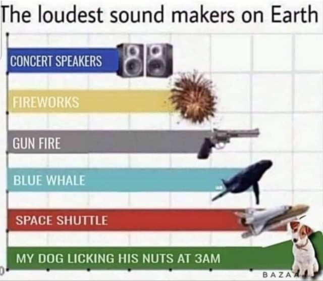 The loudest sound makers on Earth CONCERT SPEAKERS GUN FIRE BLUE WHALE ...