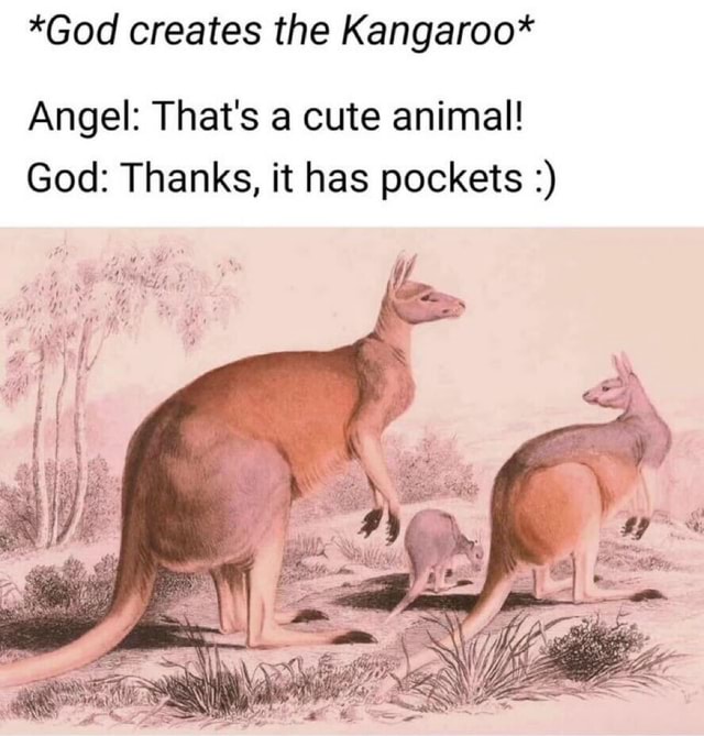 That's the best part! - *God creates the Kangaroo* Angel: That's a cute ...
