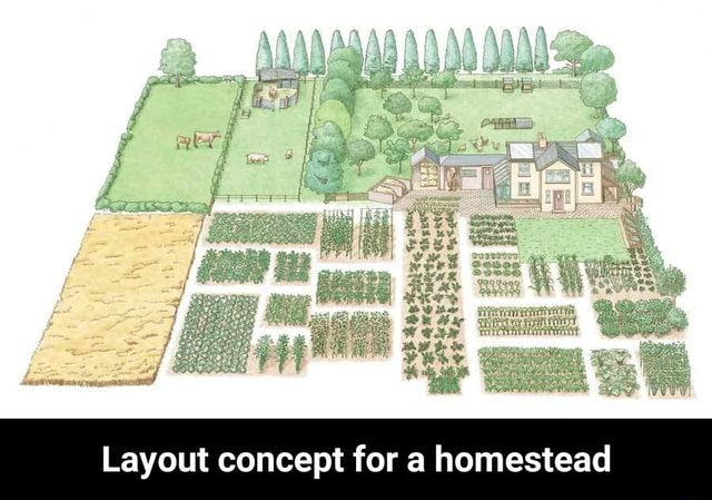 Layout concept for a homestead - Layout concept for a homestead - iFunny