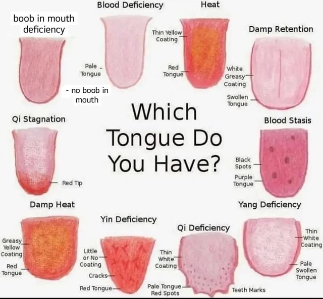 Blood Deficiency Heat boob in mouth / deficiency Thin Yellow Damp ...