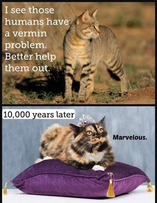 I see those humans have, a vermin problem. Better them out. 10,000 ...