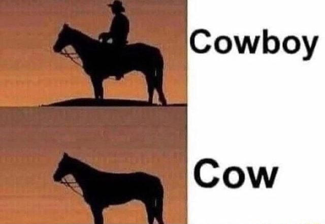Cowboy cal Cow - iFunny