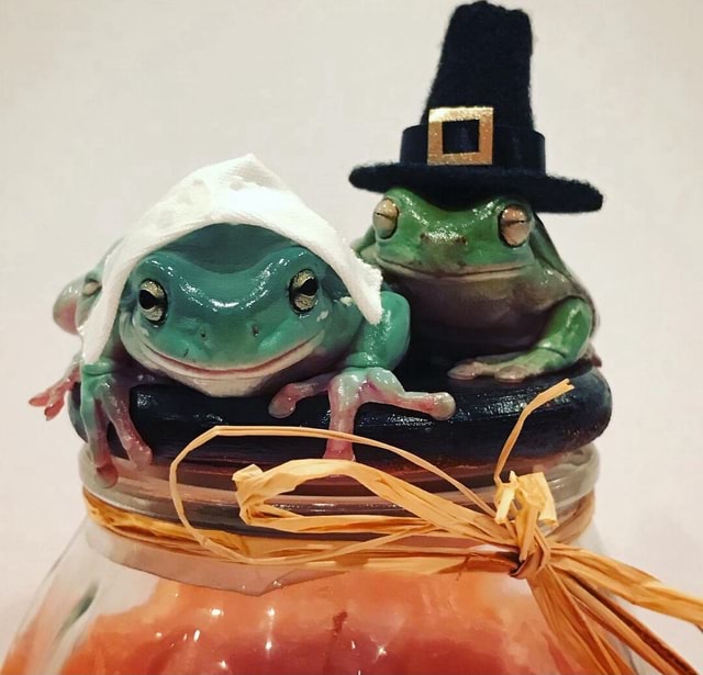 Picture memes dP7vh060B by friggin_frog: 1 comment - iFunny