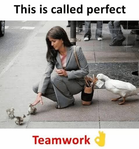 This is called perfect Teamwork - America’s best pics and videos