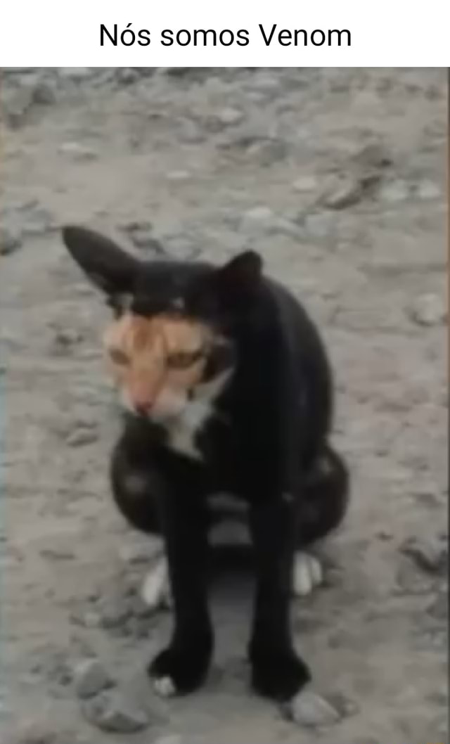 Memes de imagem ppaNSTD29 por _El_rato_leptos_ - )