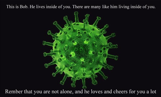 Virus Meme - Virus Meme This is Bob. He lives inside of you. There are ...