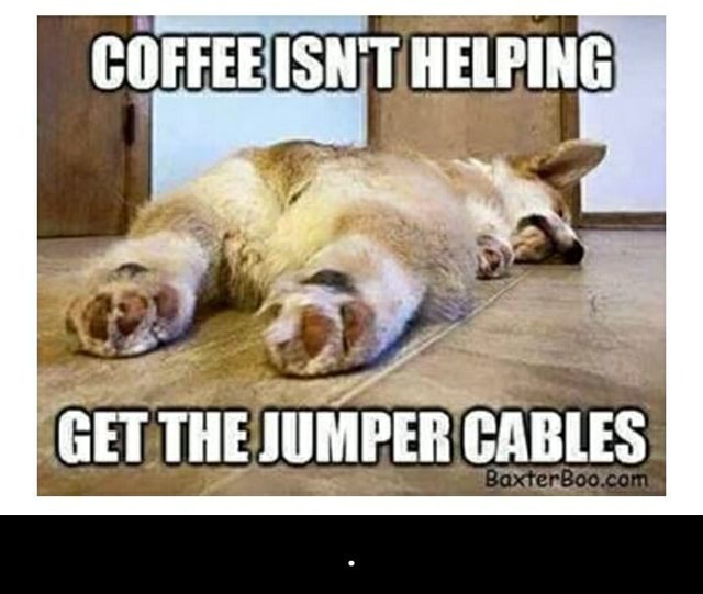 CUFFEE IISN'T HELPING GET THE JUMPER CABLES - . - America’s best pics ...