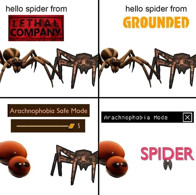 Hello spider from hello spider from GROUNDED Arachnophobia Safe Mode ...