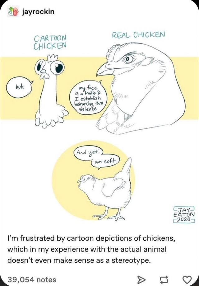 Jayrockin CARTOON REAL CHICKEN CHICKEN is % establish heirarchy ...