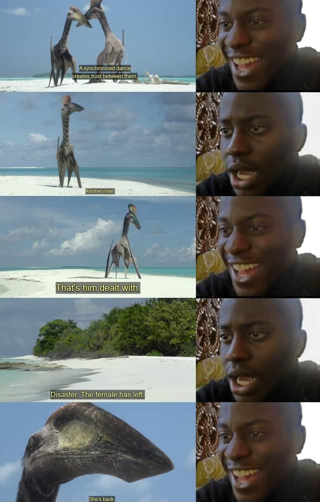 IA synchronized dance creates trust between them. with sShe's back ...