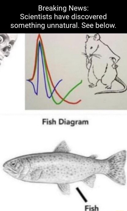 Breaking News Scientists have discovered something unnatural See below ...