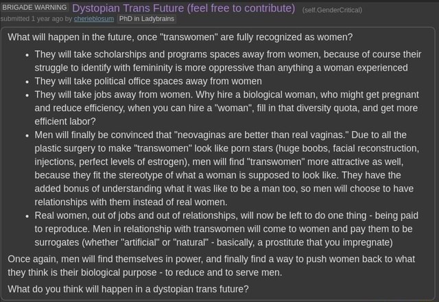 BRIGADE WARNING Dystopian Trans Future (feel free to contribute) (ceit ...