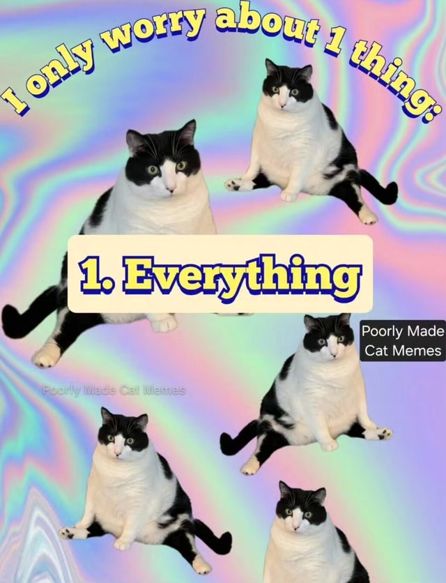 Poorly Made Cat Memes - iFunny