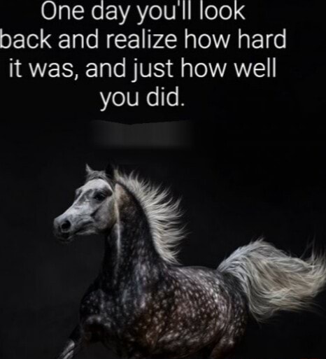 One day you look back and realize how hard it was, and just how well ...