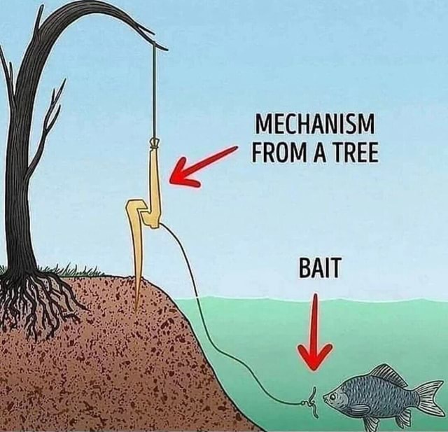 MECHANISM FROM A TREE BAIT - iFunny Brazil