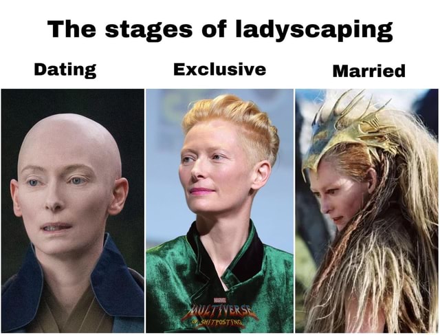 The stages of ladyscaping Dating Exclusive Married - iFunny