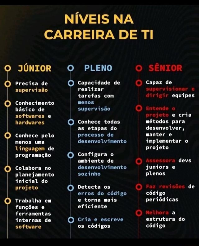 NÍVEIS NA CARREIRA DE TI O JÚNIOR O PLENO O SÊNIOR OQ Precisa de ...