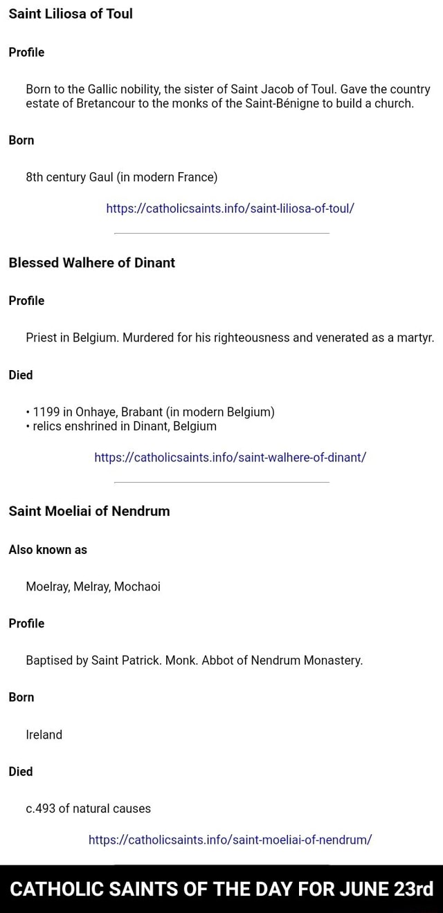 Saint Liliosa of Toul Profile Born to the Gallic nobility, the sister ...