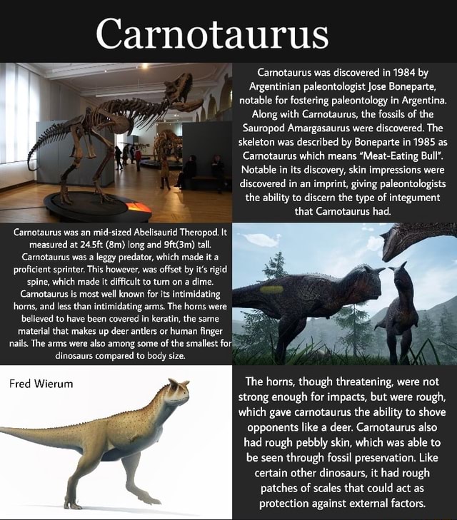 Carnotaurus Camotaurus was discovered in 1984 by Argentinian ...