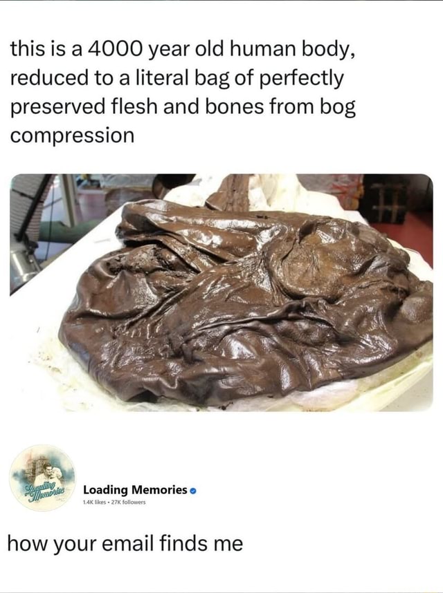 This is a 4000 year old human body, reduced to a literal bag of ...