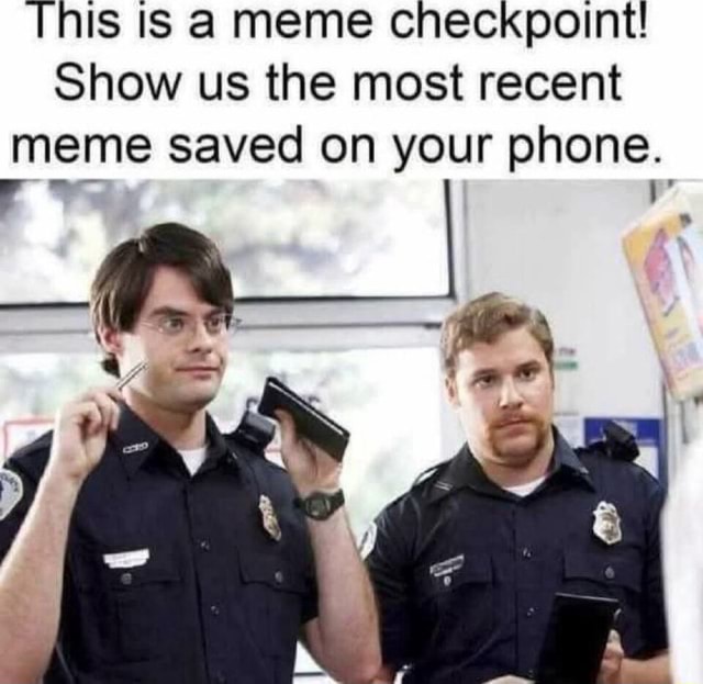 This IS a meme checkpoint! Show us the most recent meme saved on your ...