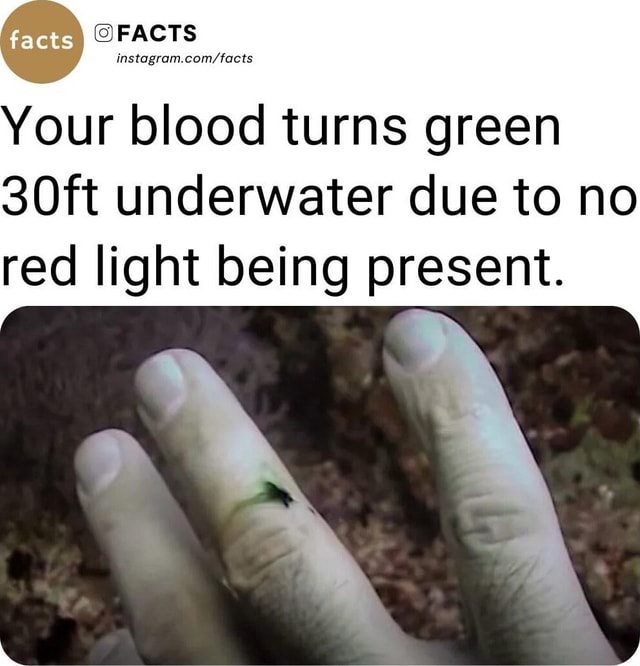 @FACTS Your blood turns green 30ft underwater due to no red light being ...