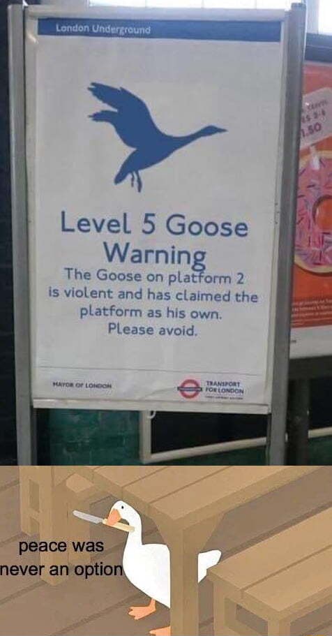 London Underground Level 5 Goose Warning tform 2 The Goose on pla' is ...