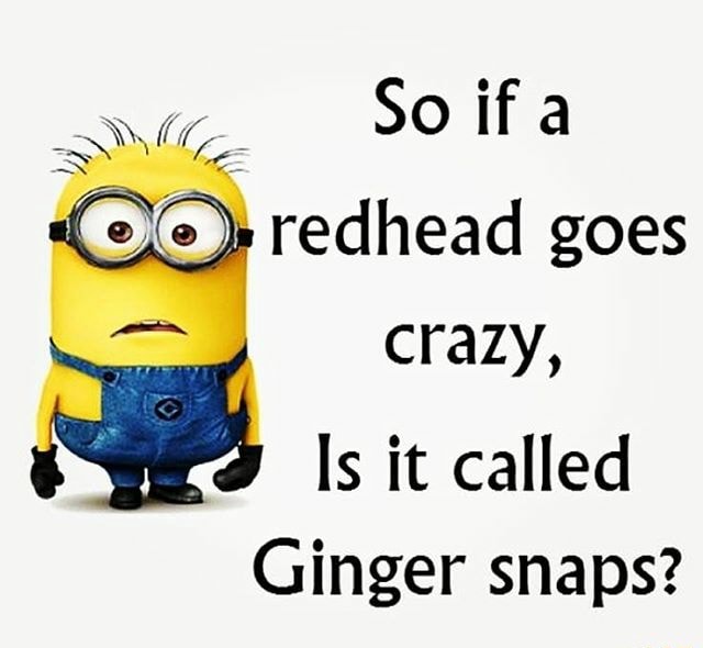 So if a redhead goes crazy, Is it called Ginger snaps? - iFunny