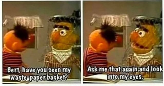 Bert, have you 'seen nmy Wastespaper, basket2_ - iFunny