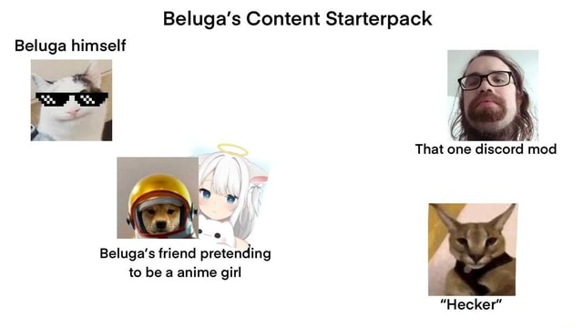 Beluga's Content Starterpack Beluga himself That one discord mod Beluga ...