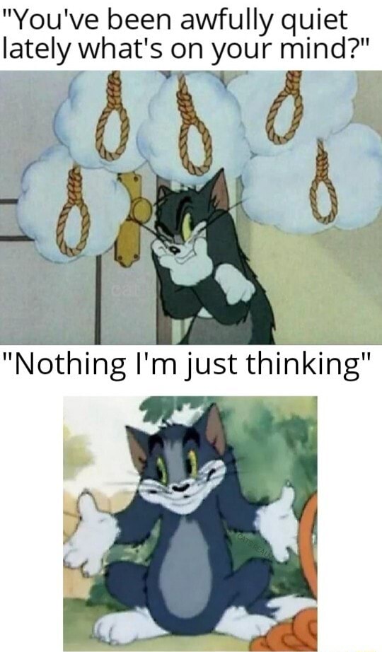 "You' ve been awfully quiet lately what' 5 on your mind?" - iFunny