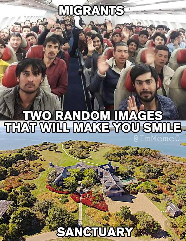 TWO RANDOM IMAGES "THAT WILL MAKE YOU SMILE SANCTUARY - iFunny