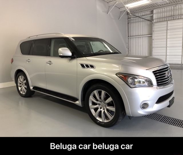 Beluga car beluga car - Beluga car beluga car - iFunny