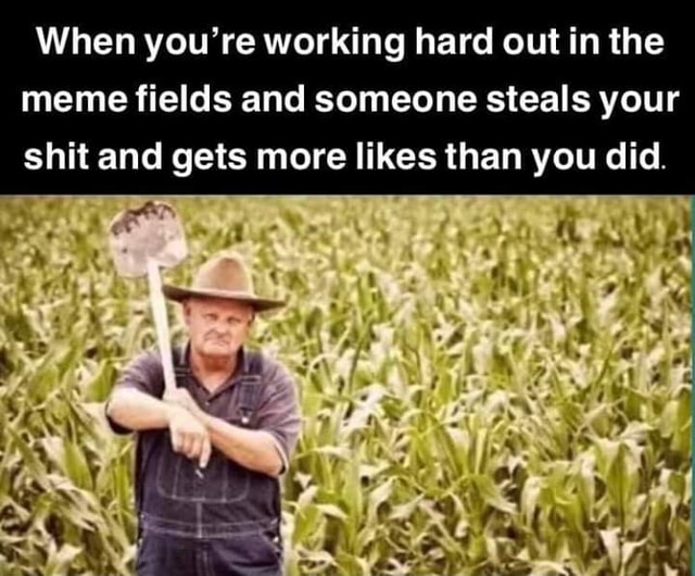 When you're working hard out in the meme fields and someone steals your ...