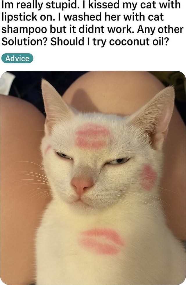 M really stupid. I kissed my cat wit lipstick on. I washed her with cat ...