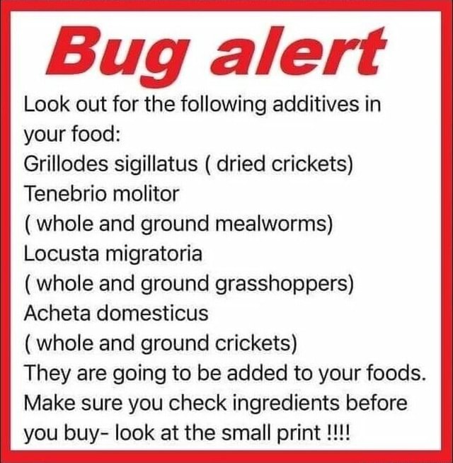 Bug alert Look out for the following additives in your food: Grillodes ...