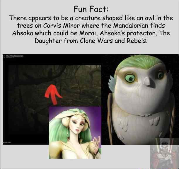 Fun Fact: There appears to be a creature shaped like an owl in the ...