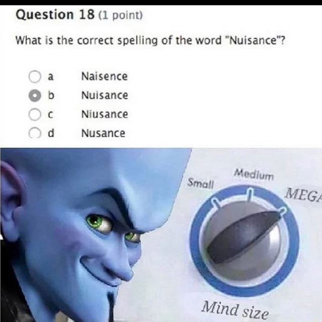 Question 18 (1 point) What is the correct spelling of the word ...