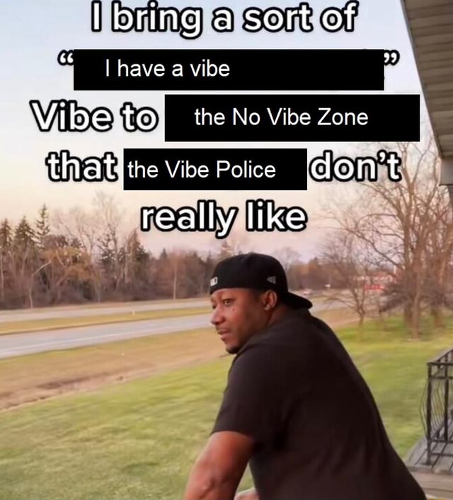 Have a vibe Vibe the No Vibe Zone the Vibe Police don't really like ...