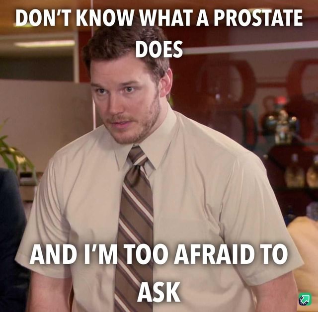 #meme #memes #tooafraidtoask #prostate - DON'T KNOW WHAT A PROSTATE ...