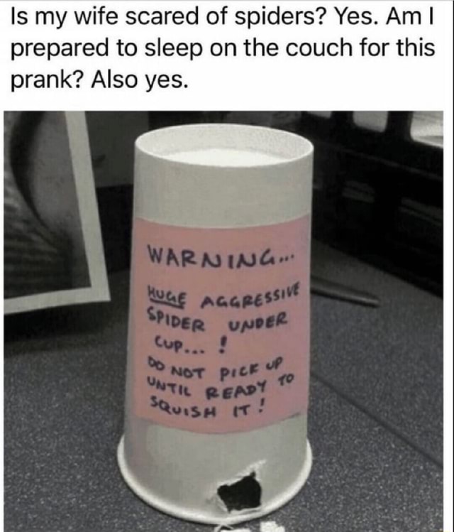 Is my wife scared of spiders? Yes. Am I prepared to sleep on the couch ...