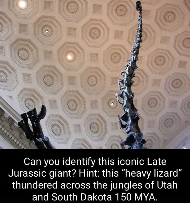 Can you identify this iconic Late Jurassic giant? Hint: this "heavy ...