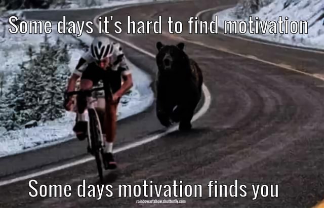 Some days it's hard to find motivation some days motivation finds you ...