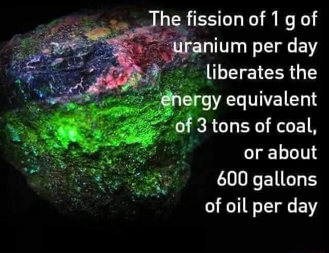 He fission of 1 g of uranium per day liberates the se ergy equivalent ...