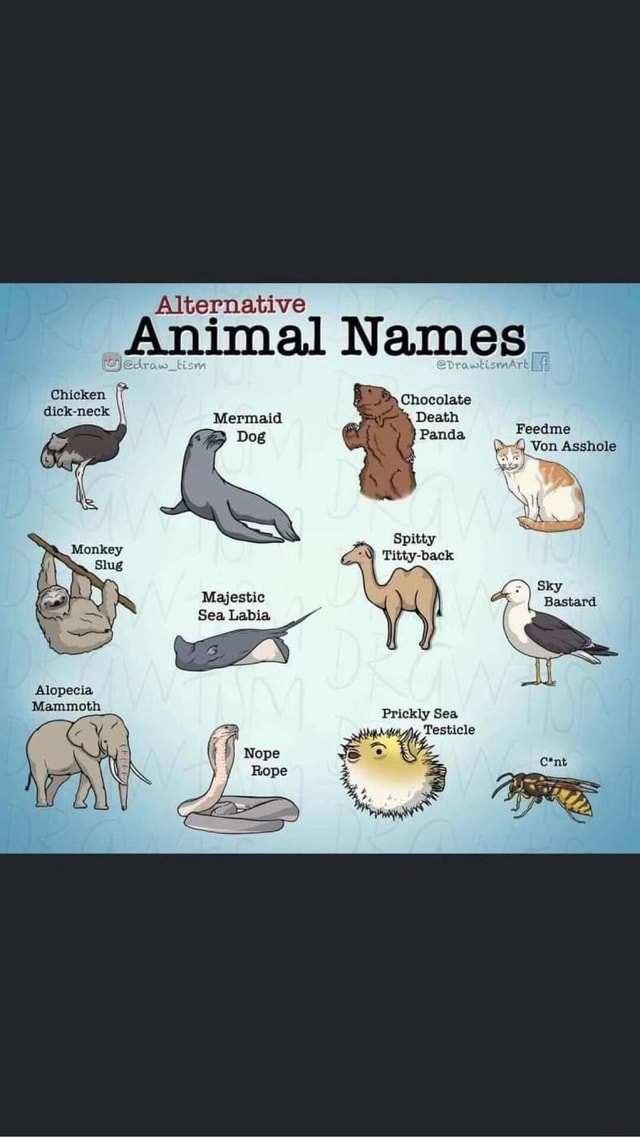A chuckle - Alternative Animal Names Chicken Chocolate dick-neck dick ...