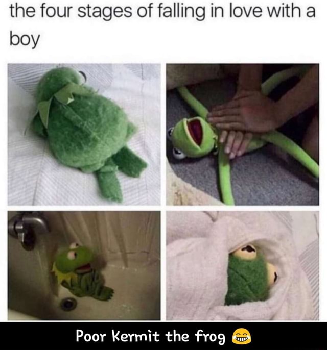 The four stages of falling in love With a Poor kermit the Frog - Poor Kermit the frog 😂 - iFunny