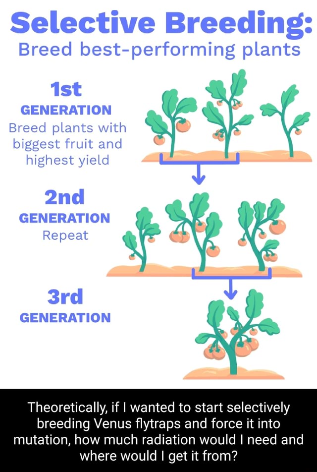 Selective Breeding: Breed best-performing plants GENERATION Breed ...